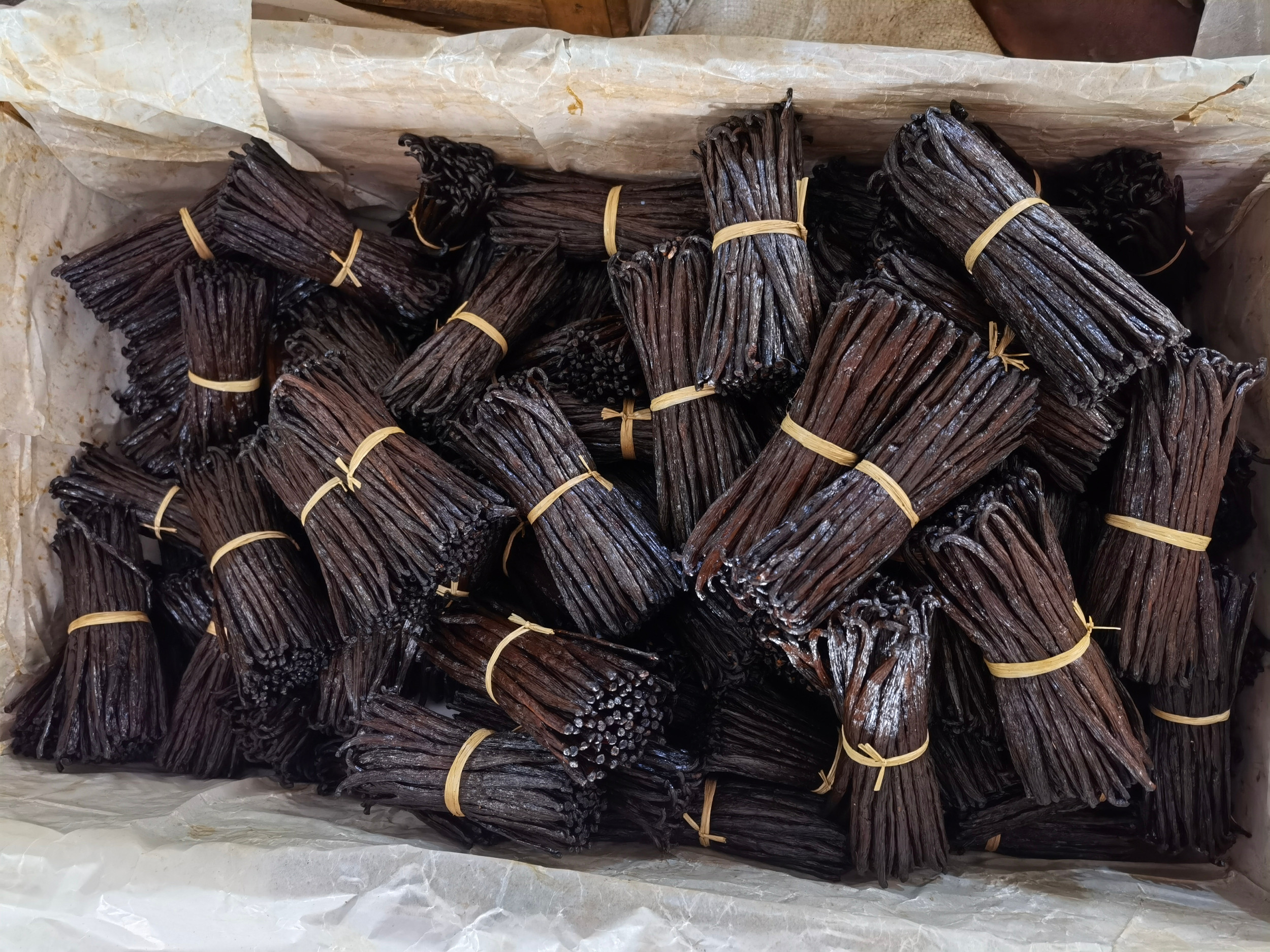 Visionfood - International wholesaler of spices